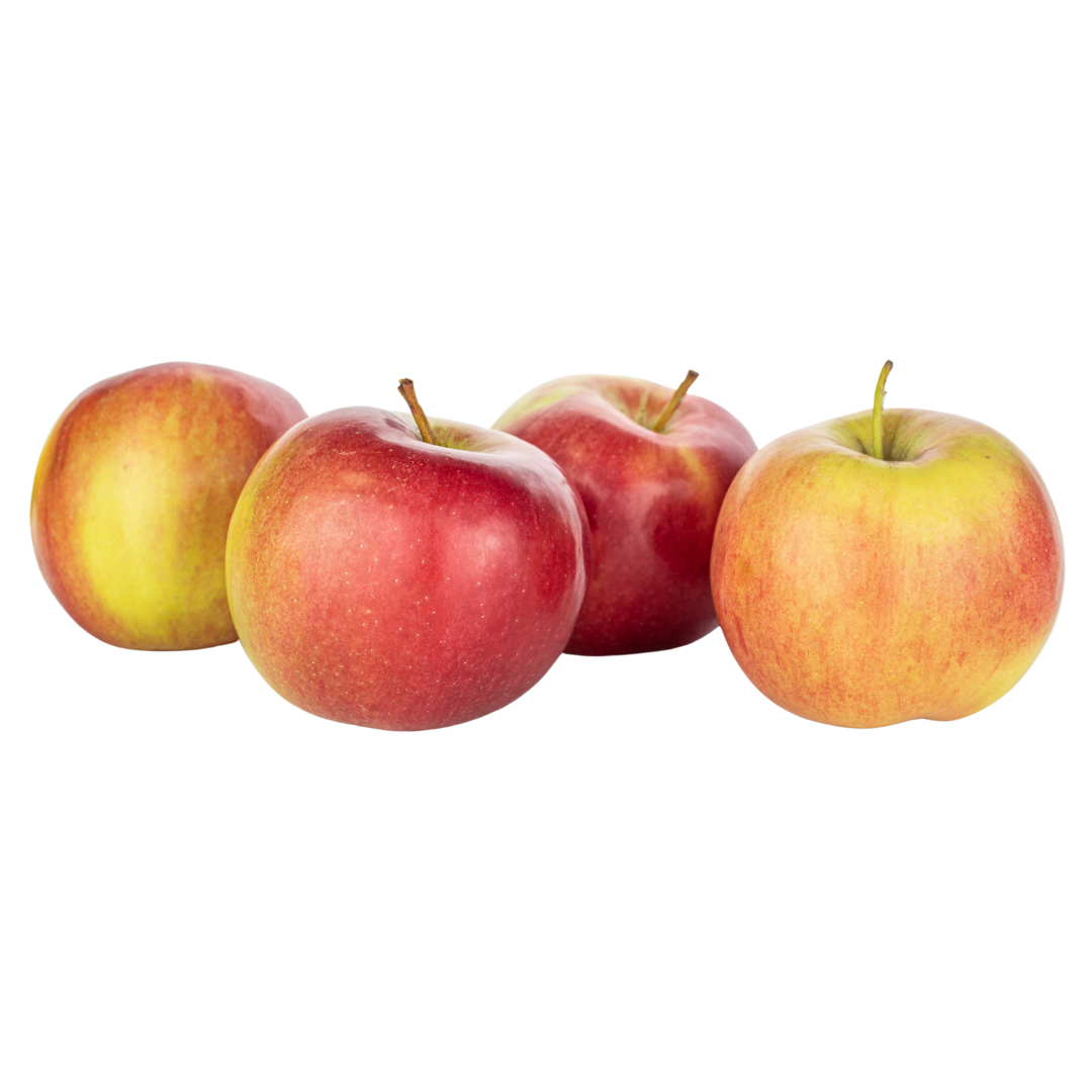 Økologisk æble Pinova, 1 kg - greenist.dk